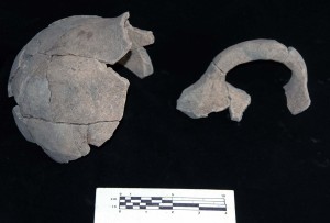 Colonial period Artifacts