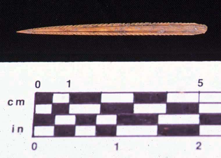 Stingray Spines